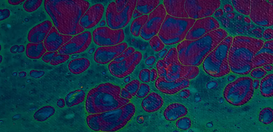 Spatial Omics: High-Resolution Cancer Diagnostics